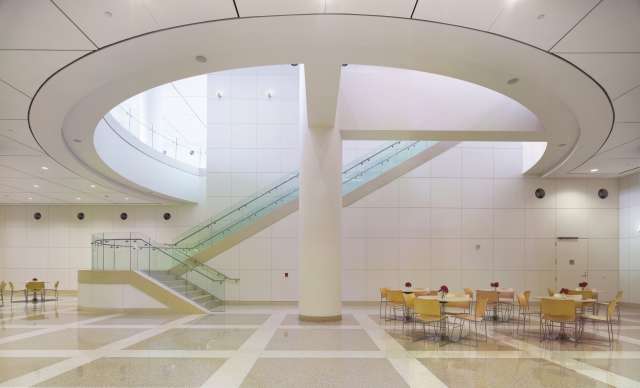 Giving - ECMO | UCLA Health