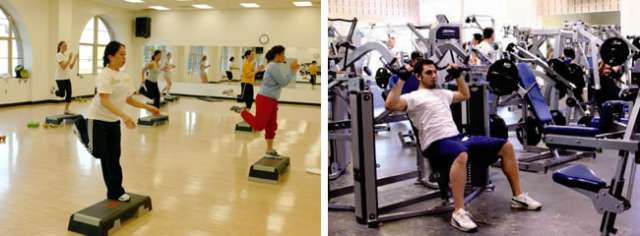 Fitness - Anesthesiology | UCLA Health