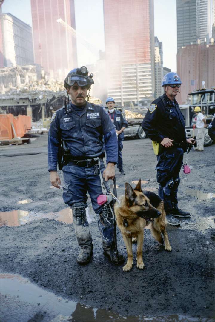 The Lingering Aftermath of 9/11 | UCLA Health