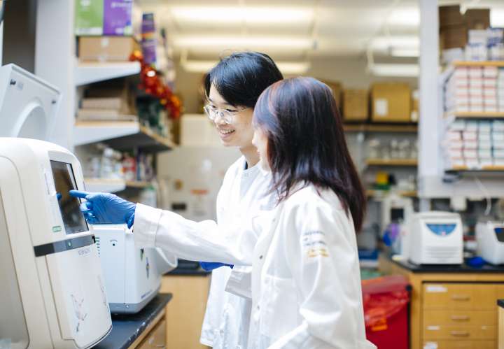 UCLA researchers unite to develop immunotherapy they hope will ...