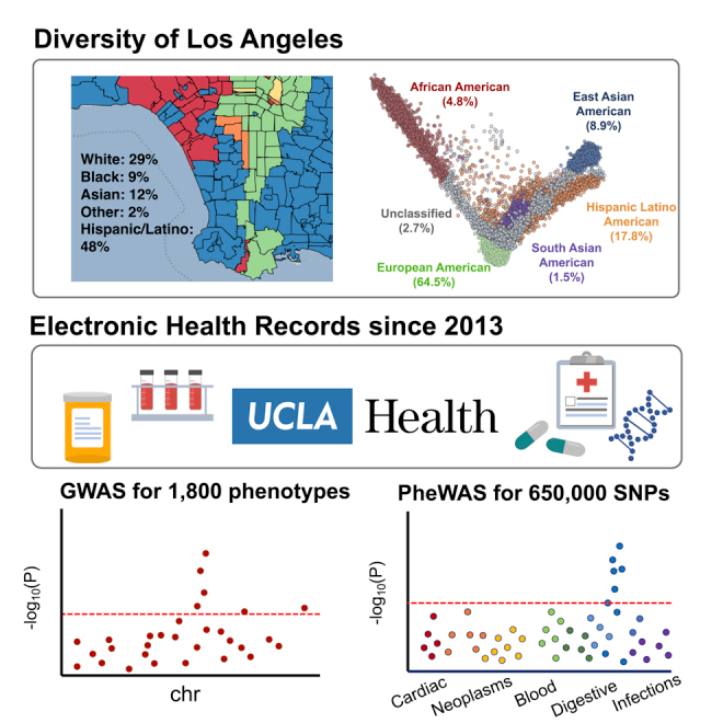 News - Precision Health | UCLA Health