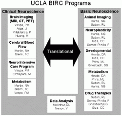 BIRC Projects - Neurosurgery | UCLA Health