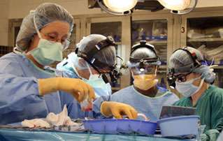 Brain Injury Program - Neurotrauma & Neuro Critical Care | UCLA Health