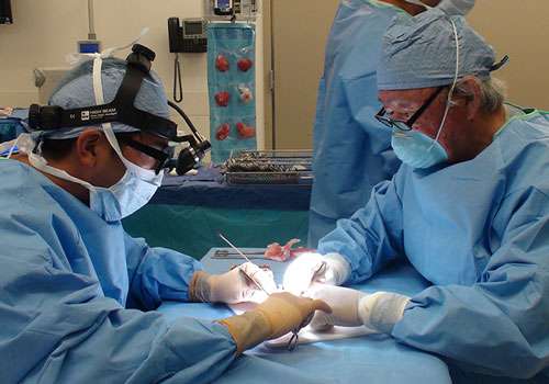Craniofacial Surgery - Plastic Surgery | UCLA Health