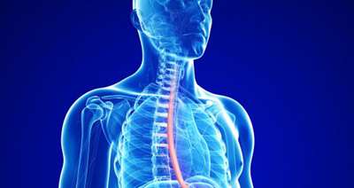 Esophageal Diseases - May Lab | UCLA Health