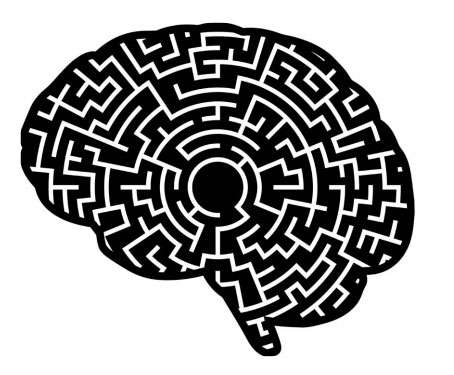 The Garden of Forking Paths - Neurology | UCLA Health