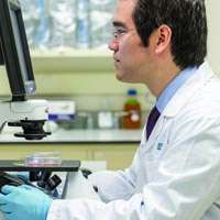 Center for Inflammatory Bowel Diseases - Digestive Diseases Research ...