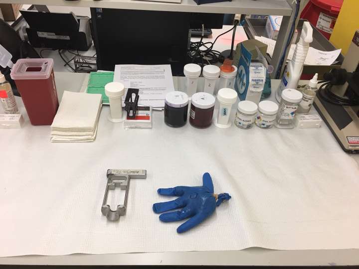 Cytology Gallery - Pathology | UCLA Health