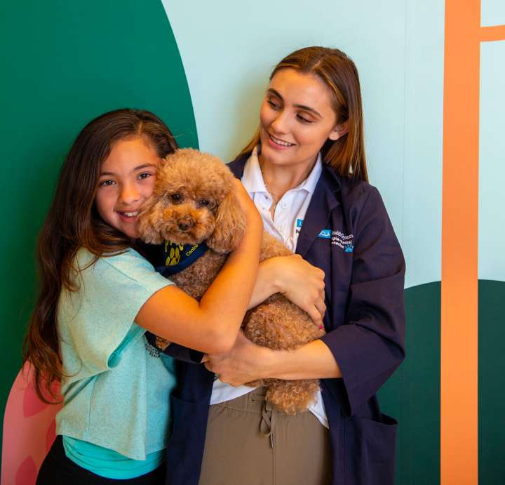 Animal-Assisted Therapy Research - People-Animal Connection | UCLA Health