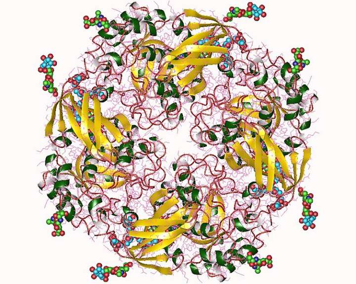 Nephro-Genetics - CORE Kidney | UCLA Health