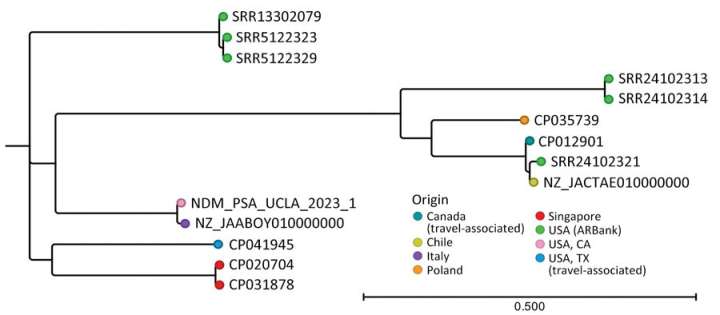 Molecular Microbiology and Pathogen Genomics (MMPG) Laboratory ...