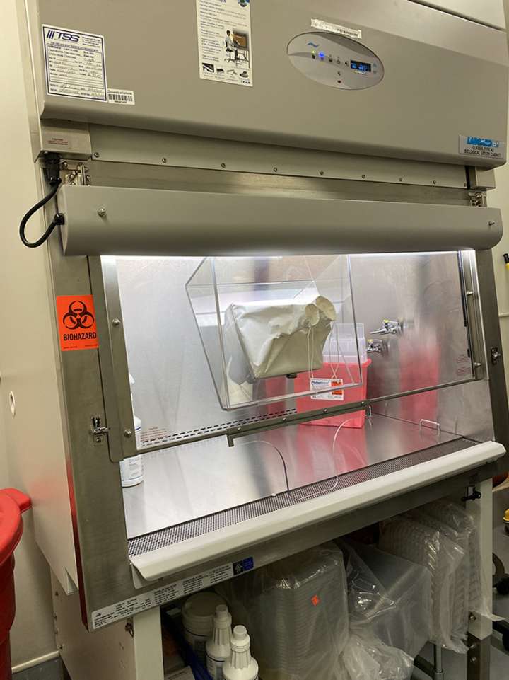 Gene & Cell Delivery Core - Ophthalmology | UCLA Health