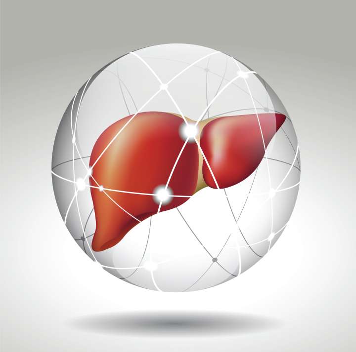 About Us - Comprehensive Liver Research Center | UCLA Health