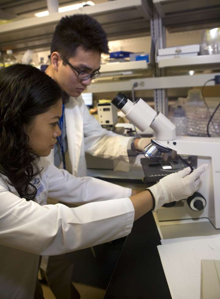 STAR-PSTP - Internal Medicine Residency Program | UCLA Health