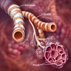 What is COPD? - Respiratory Care | UCLA Health