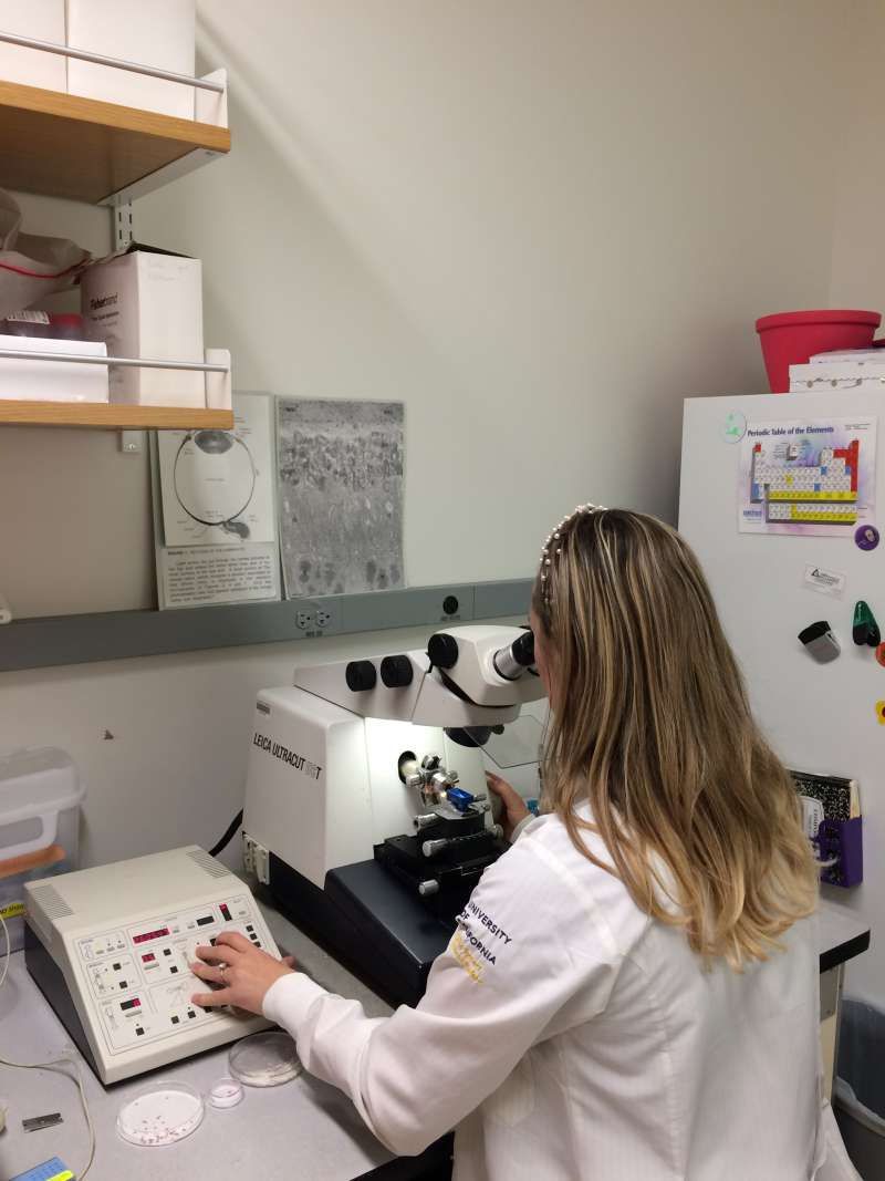 Microscopy and Imaging Analysis Core - Ophthalmology | UCLA Health