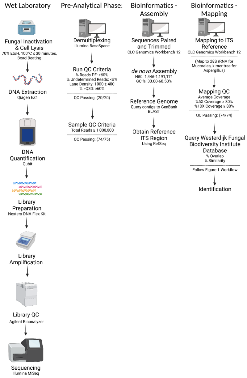 Molecular Microbiology and Pathogen Genomics (MMPG) Laboratory ...
