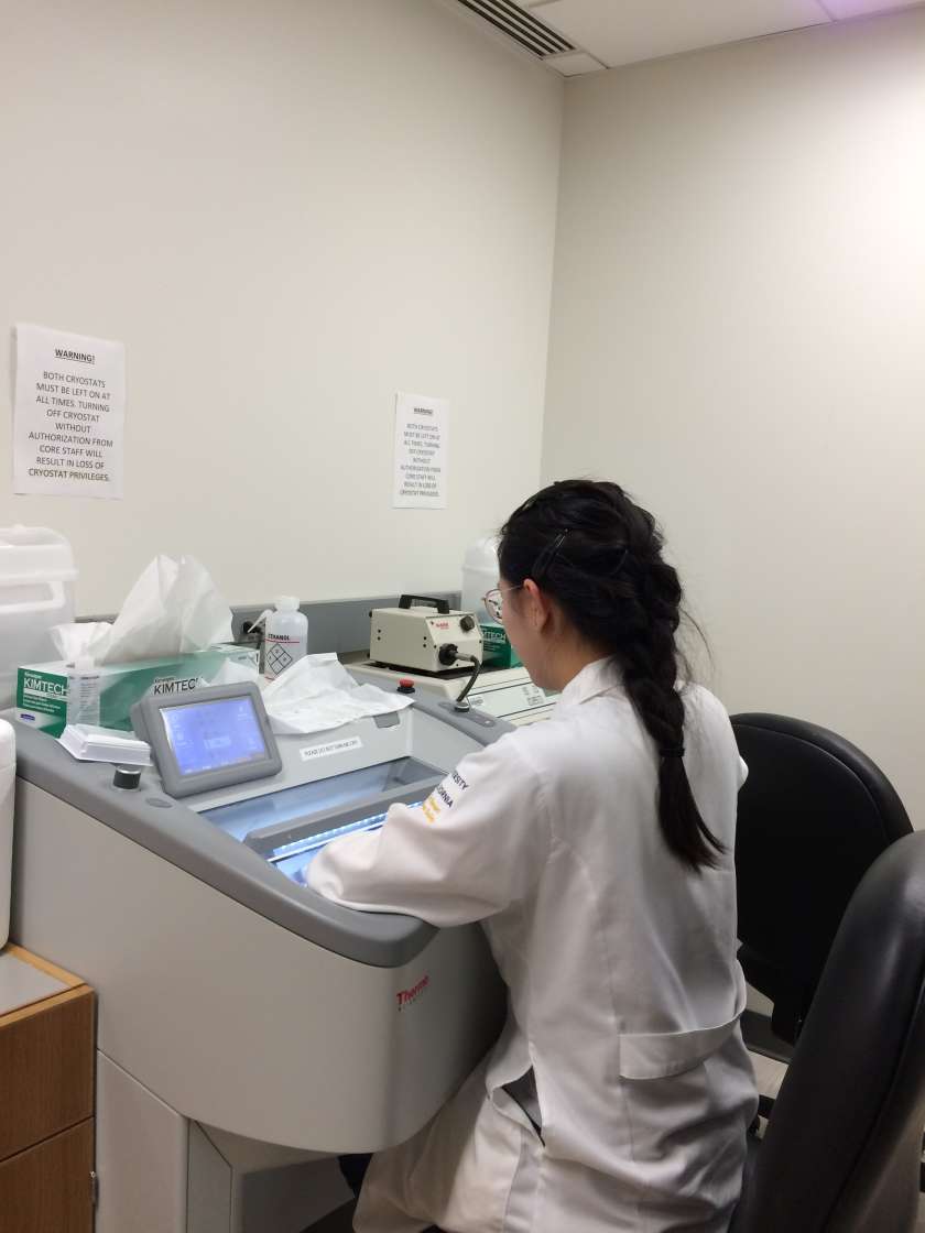 Microscopy and Imaging Analysis Core - Ophthalmology | UCLA Health