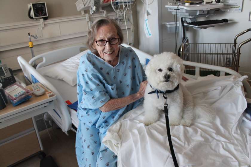 PAC Safety Practices and Protocols - People-Animal Connection | UCLA Health