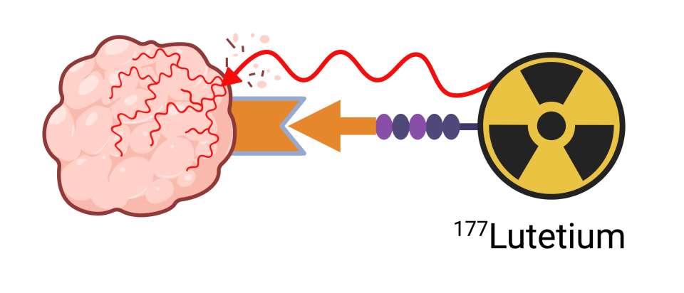 Theranostics | UCLA Health