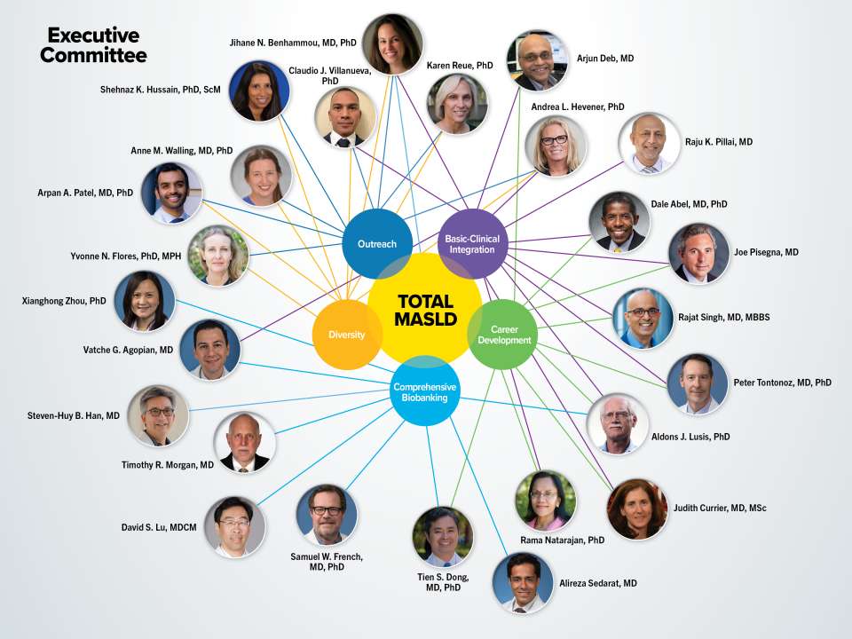 Executive Committee - Comprehensive Liver Research Center | UCLA Health