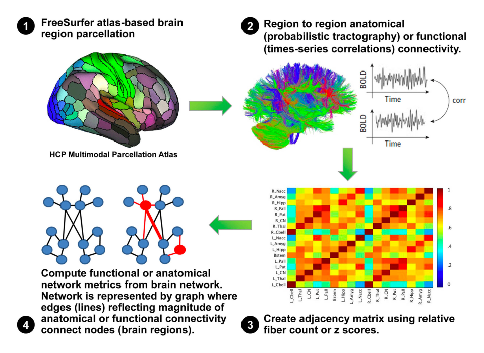 Neuroimaging Core - Microbiome | UCLA Health