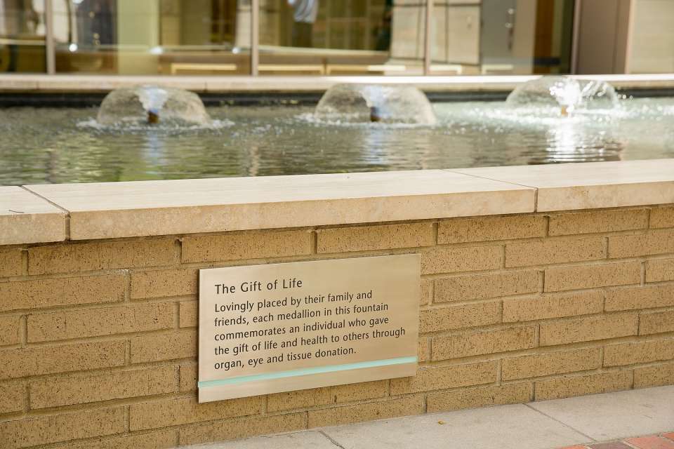 Gift of Life | UCLA Health