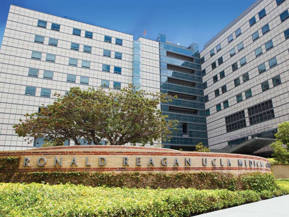 Consulting Services - International Services | UCLA Health