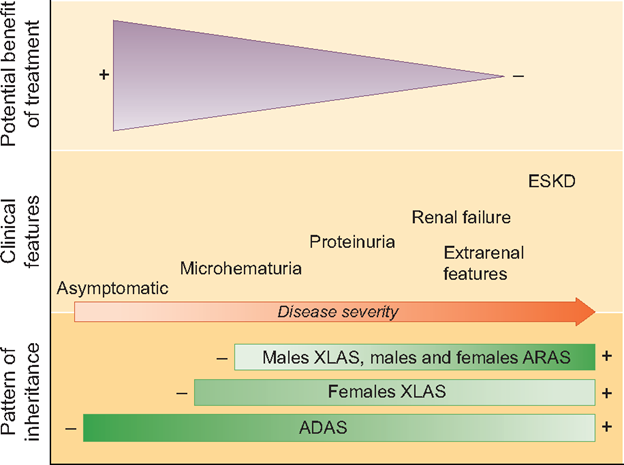What is Alport syndrome? - CORE Kidney | UCLA Health
