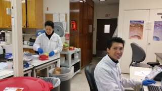 Cytology Gallery - Pathology | UCLA Health