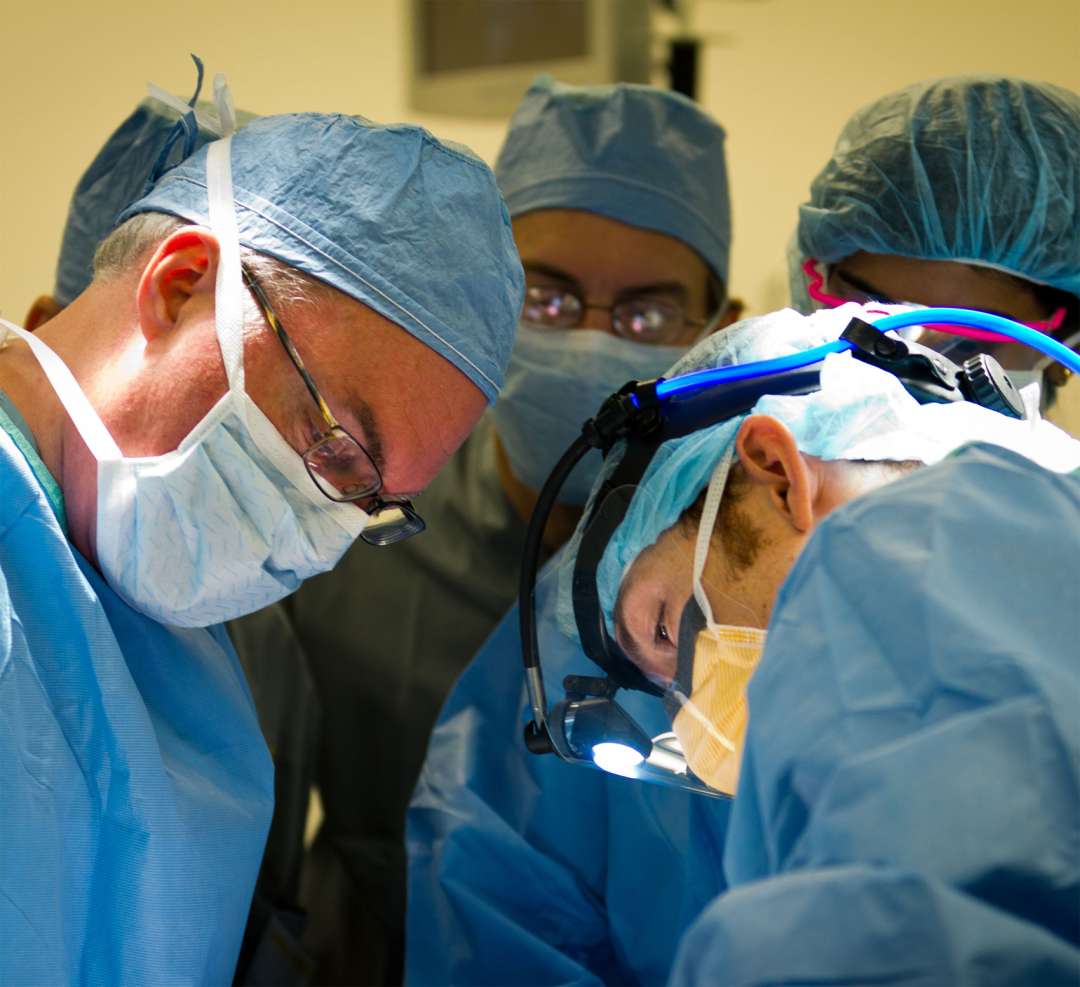 UCLA Department of Surgery | UCLA Health