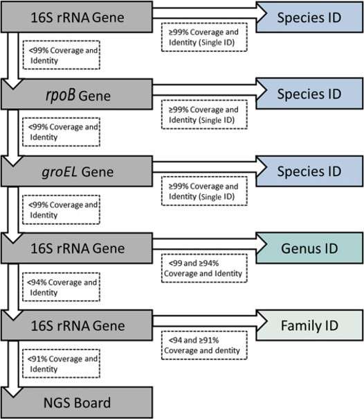 Molecular Microbiology and Pathogen Genomics (MMPG) Laboratory ...