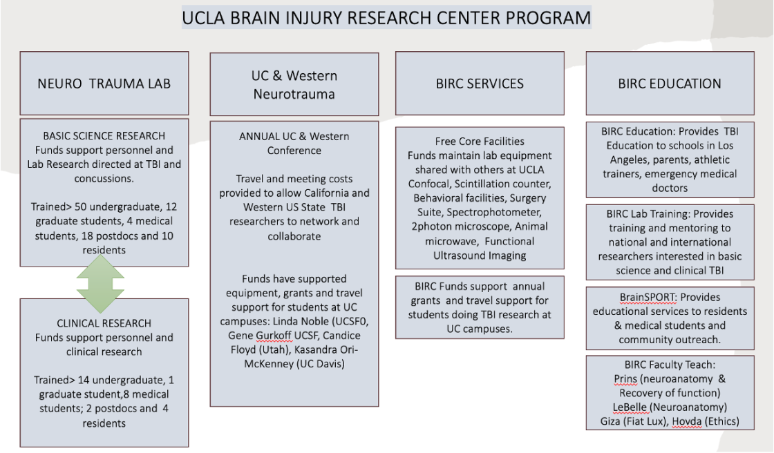 Brain Injury Research Center - Neurosurgery | UCLA Health