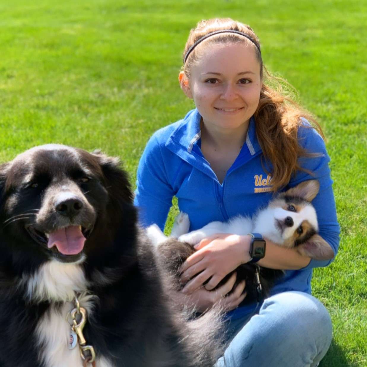 HumAnes of UCLA - Anesthesiology | UCLA Health