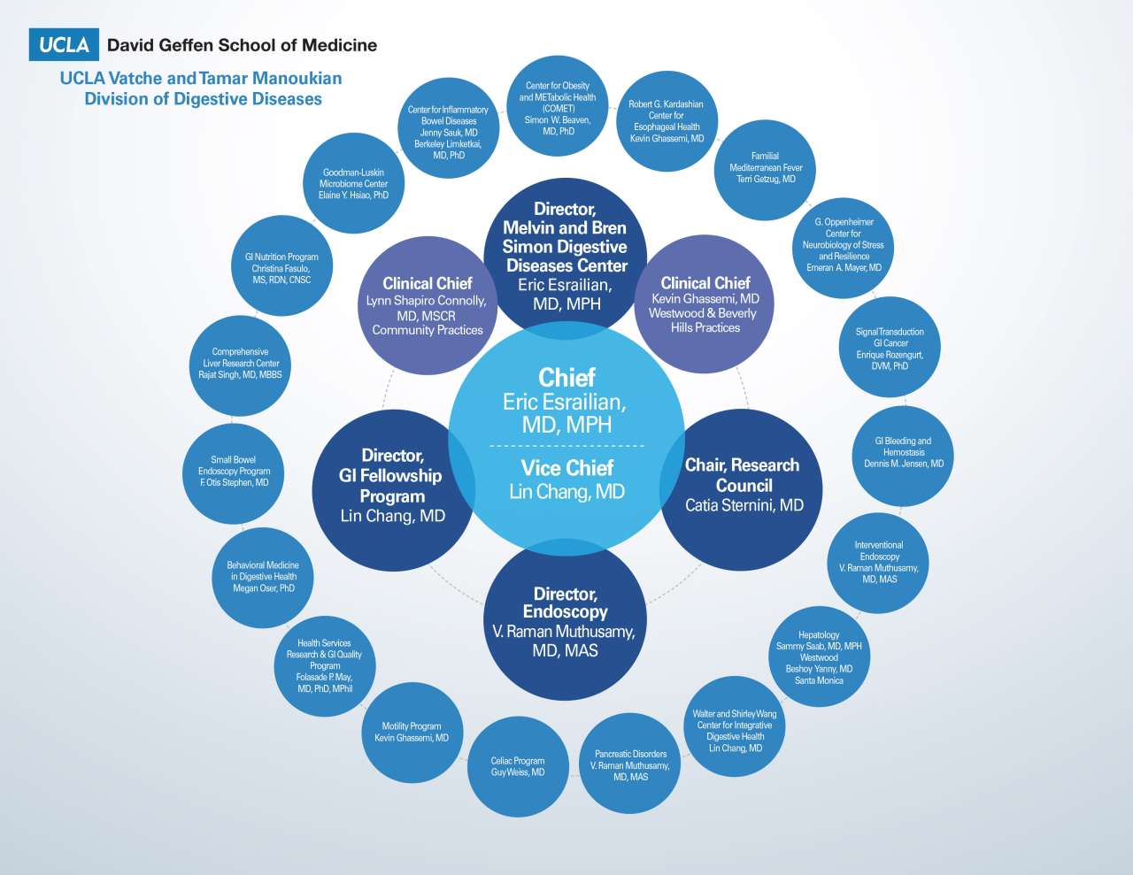 Organizational Chart - Digestive Diseases | UCLA Health