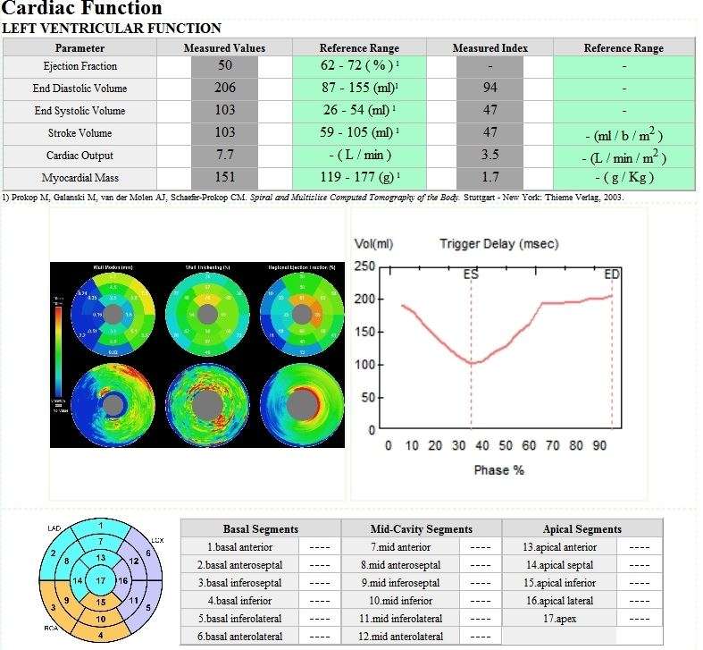 Cardiovascular - Q3D Imaging Lab | UCLA Health