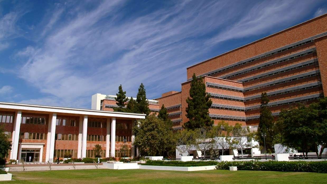 Research - Anesthesiology | UCLA Health