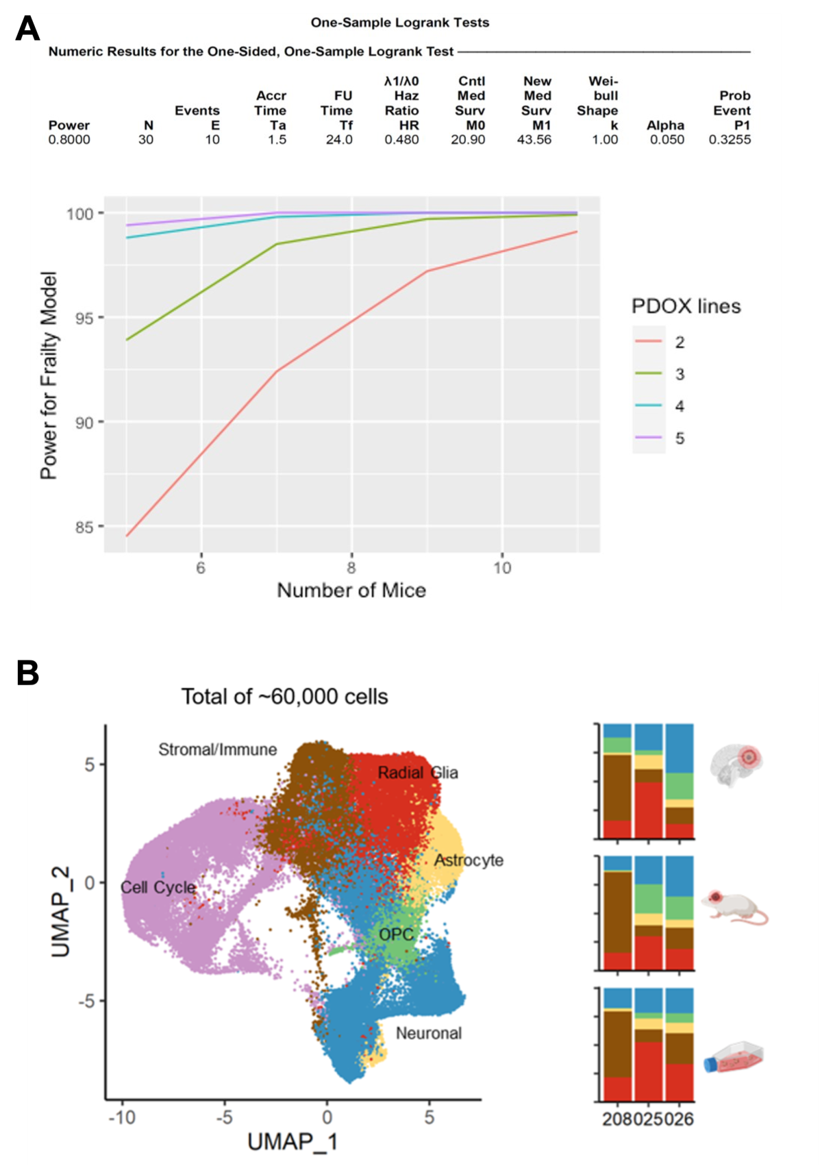 Shared Resource Cores | UCLA Health Jonsson Comprehensive Cancer Center