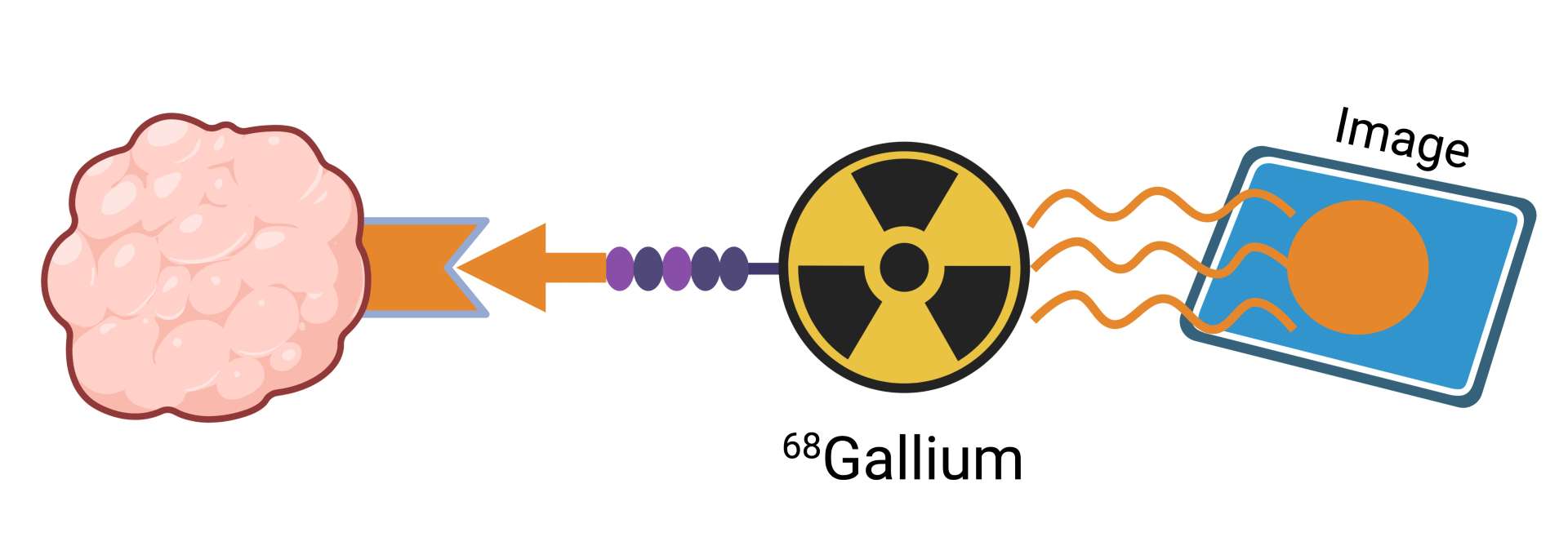 Theranostics | UCLA Health