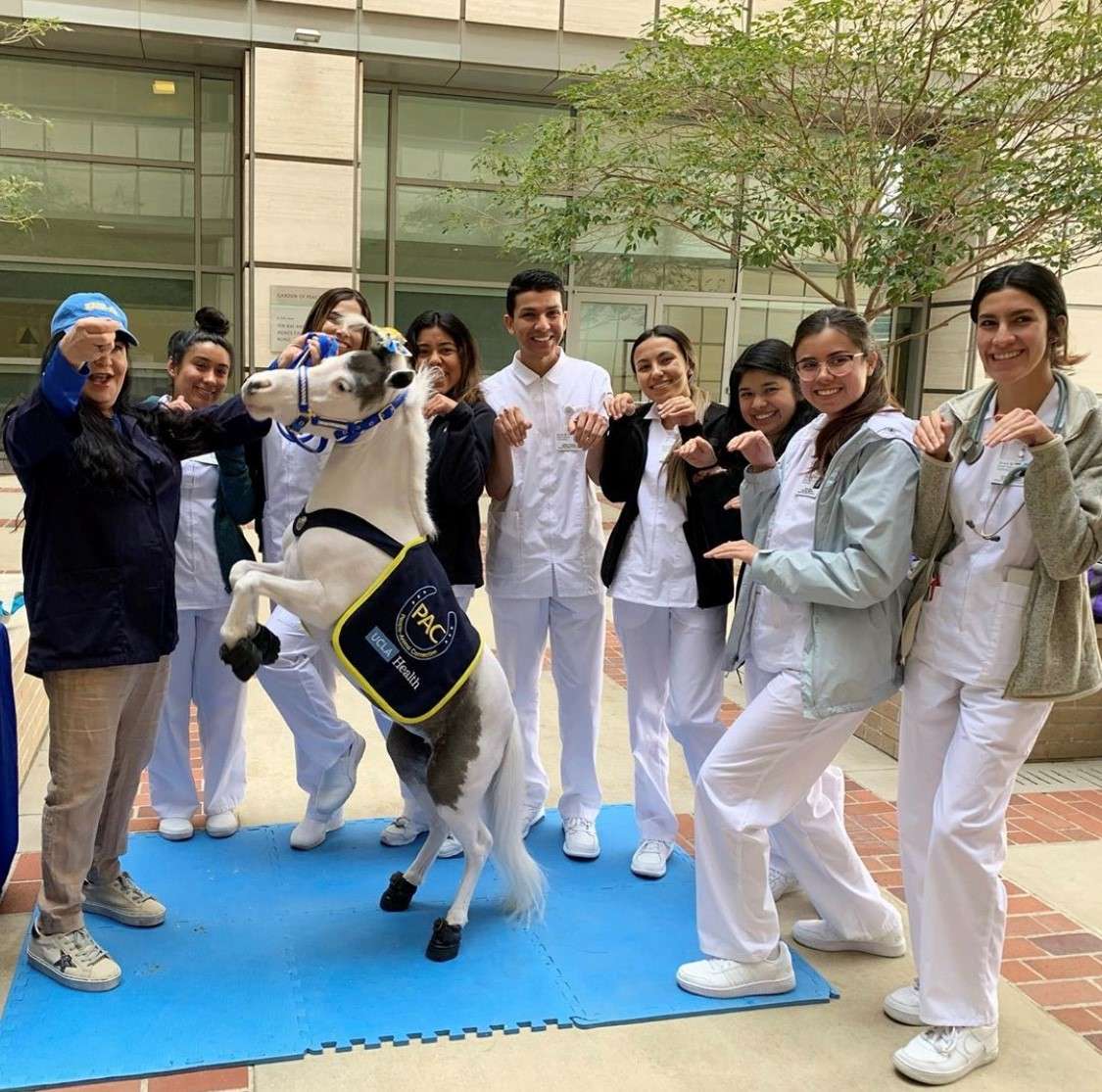 Pet Visit Stations - People-Animal Connection | UCLA Health