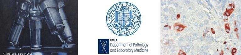 Giving to Pathology - Pathology | UCLA Health