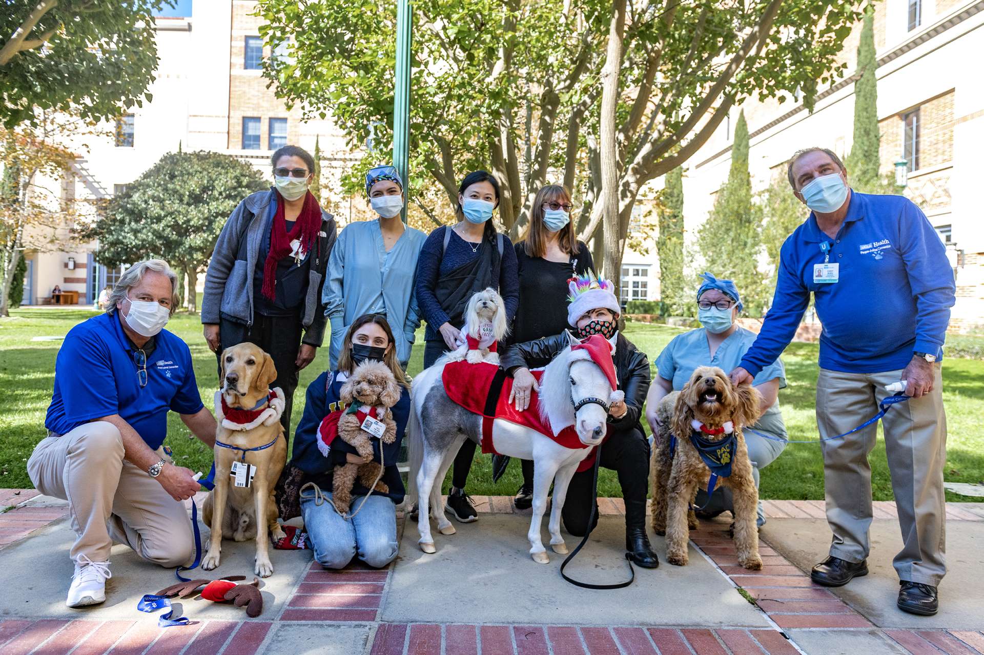 About Us - People-Animal Connection | UCLA Health