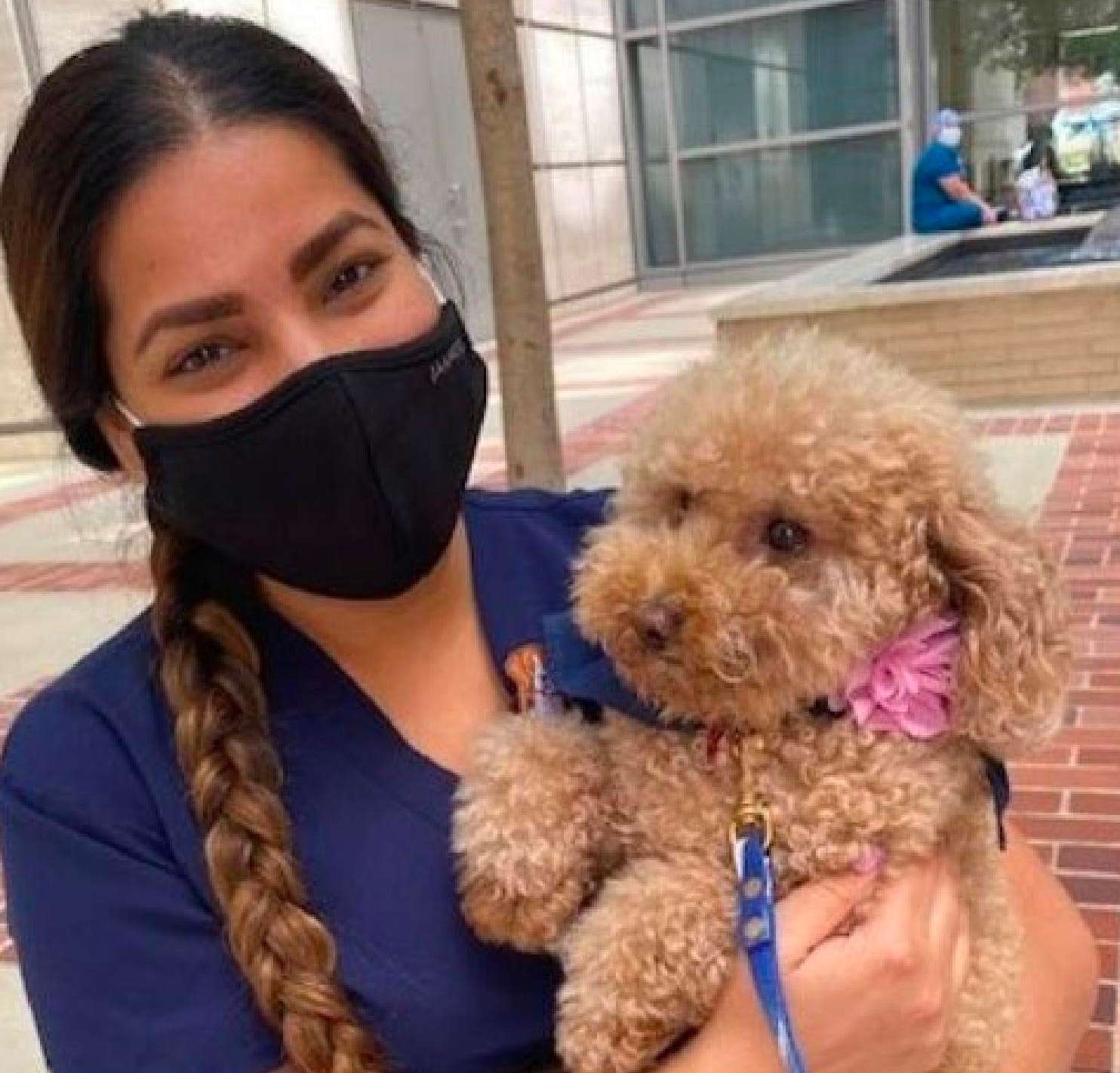 PAC & COVID-19 - People-Animal Connection | UCLA Health