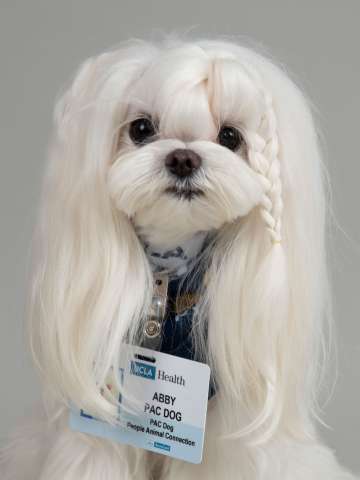 PAC Therapy Animals - People-Animal Connection | UCLA Health