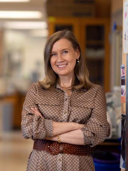 Hanna Mikkola, MD, PhD - Member Directory | UCLA Health Jonsson ...