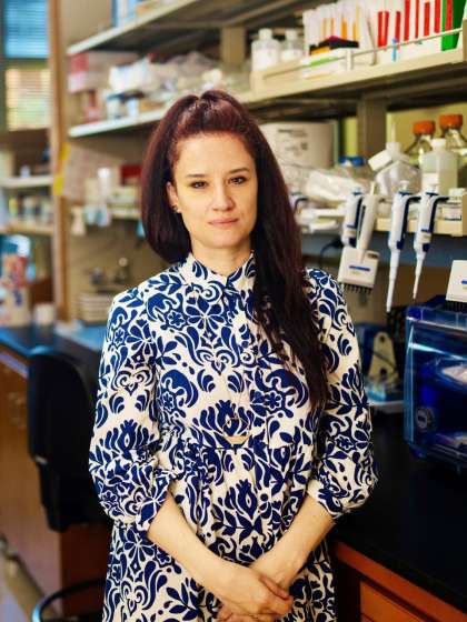 Alice Soragni, PhD - Member Directory | UCLA Health Jonsson ...