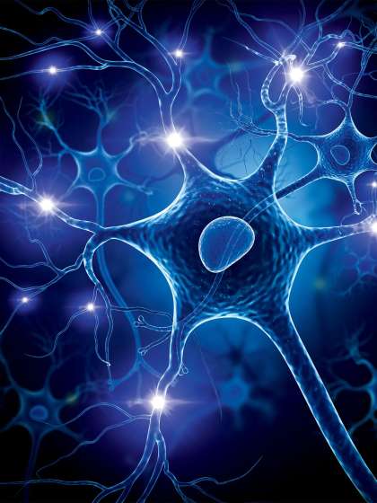 Peripheral Nerve Disorders - Los Angeles, CA | UCLA Health