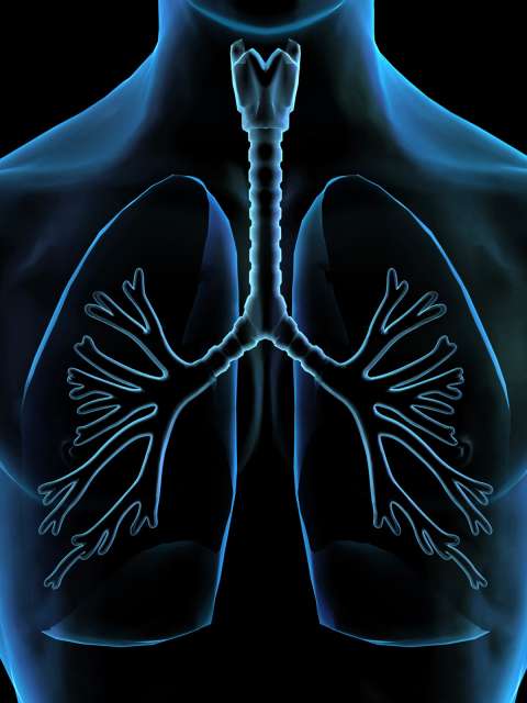 Pulmonology & Critical Care | UCLA Health