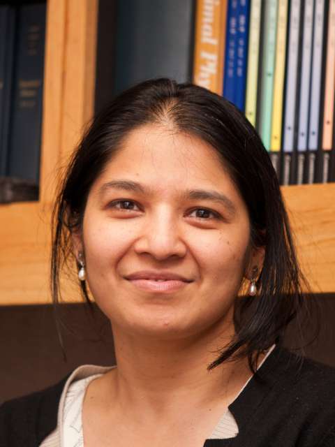 Sonal Srikanth, PhD, MS - Member Directory | UCLA Health Jonsson ...