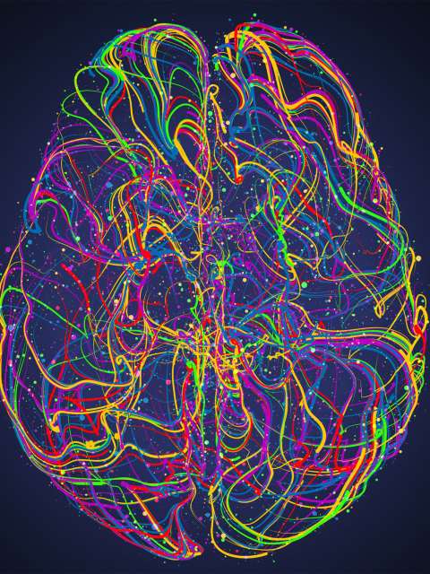 Neurotrauma & Neuro Critical Care | UCLA Health
